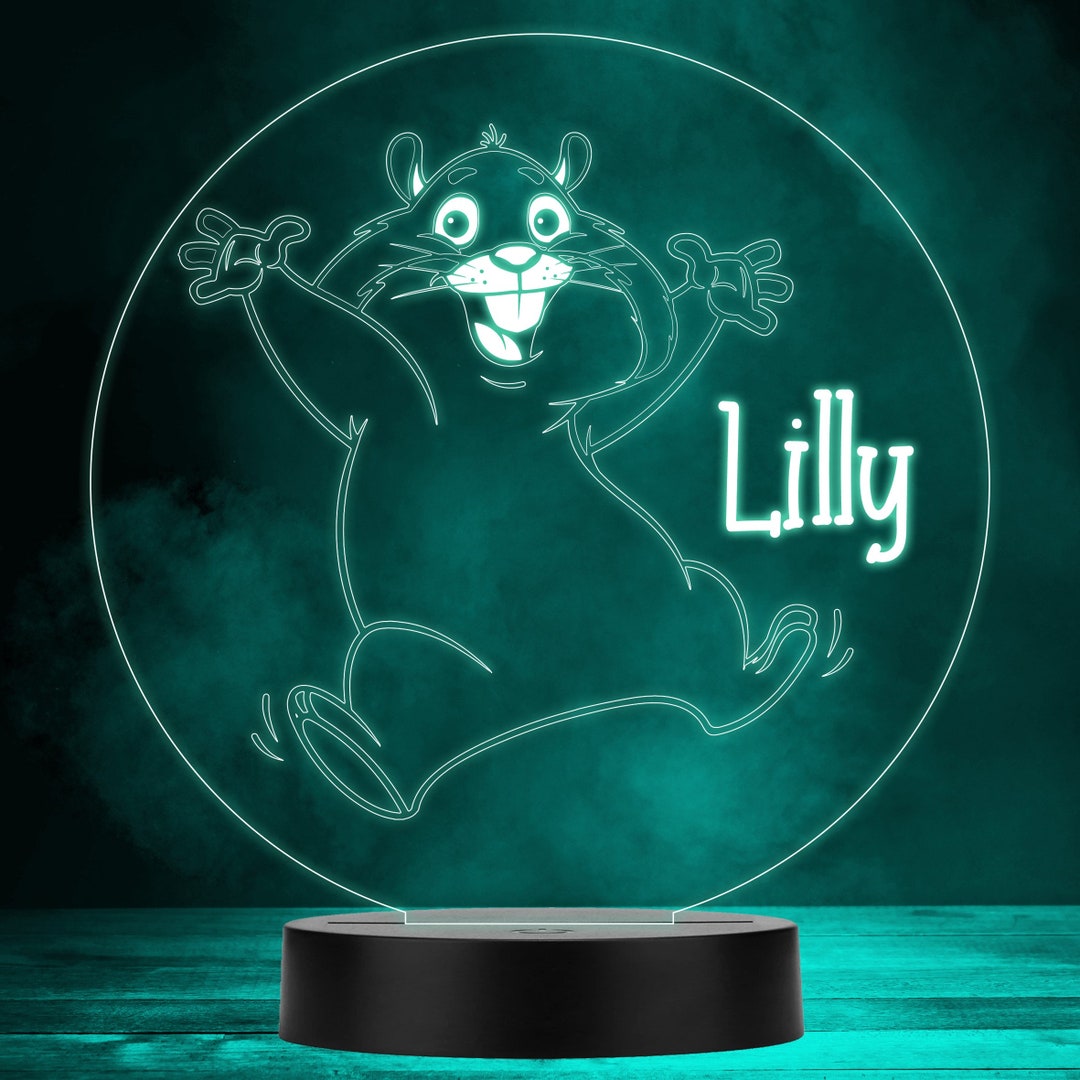 Happy Hamster Jumping Colour Changing Personalised Gift LED Lamp Night ...