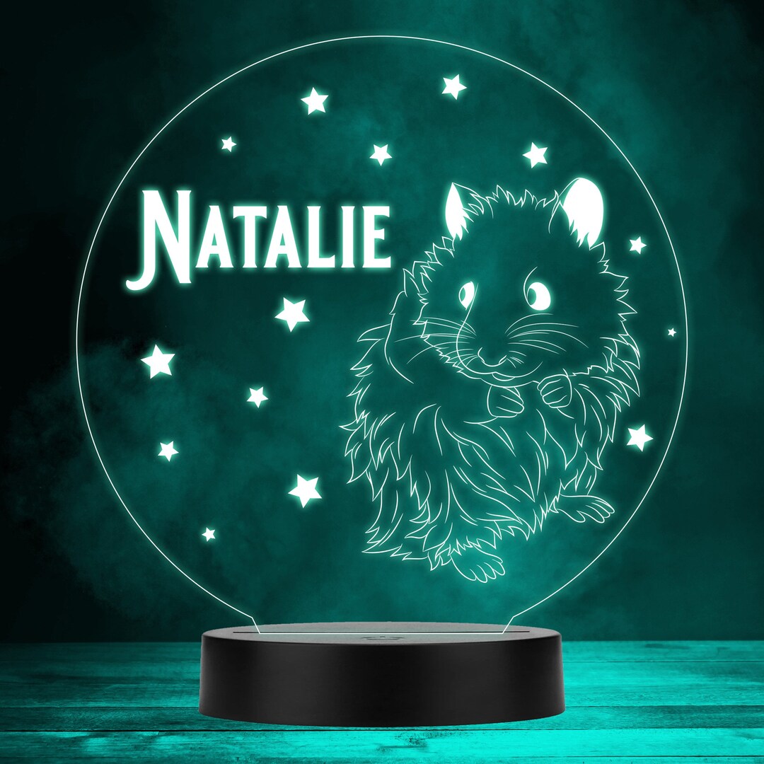Cute Hamster & Stars Colour Changing Personalised Gift LED Lamp Night ...