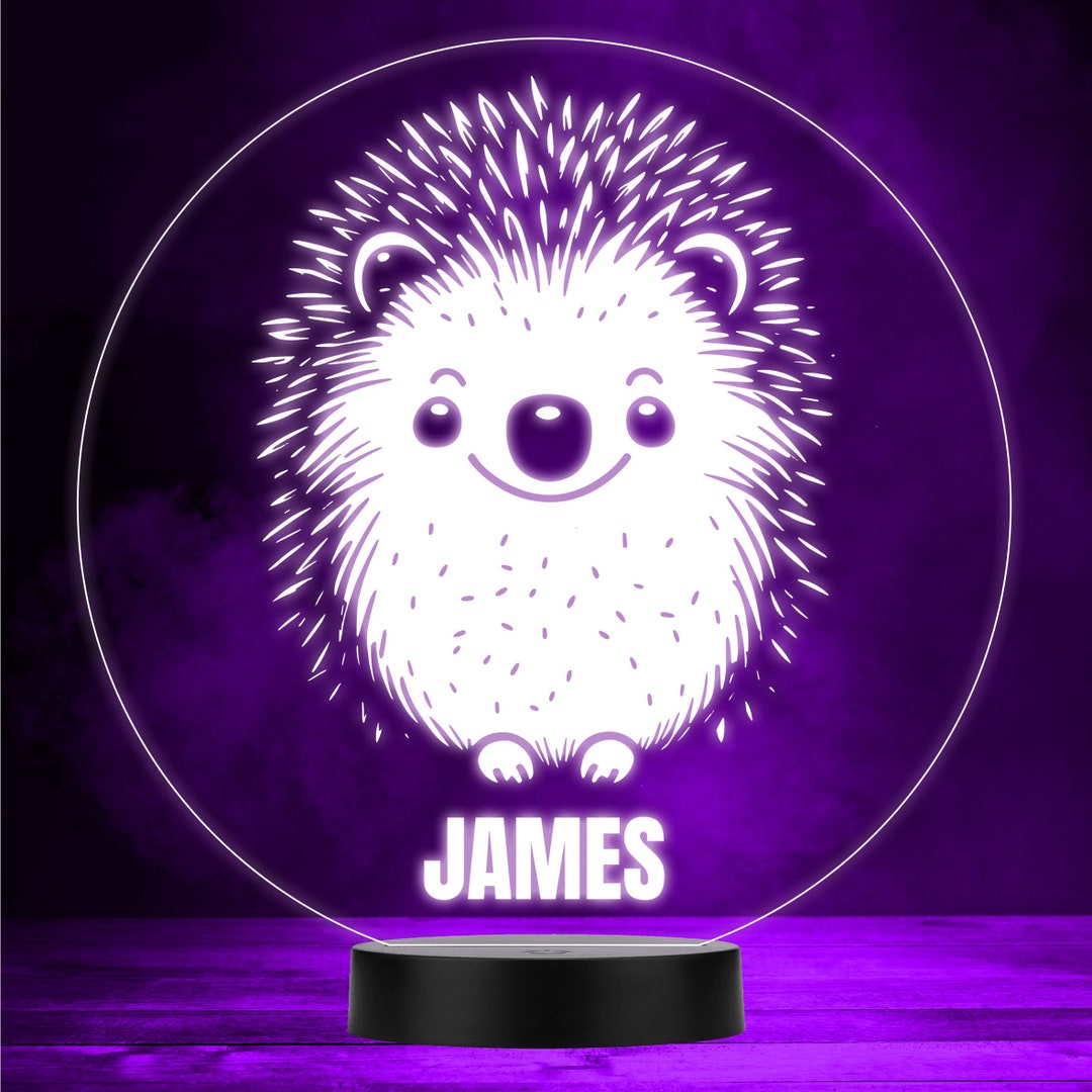 Happy Cute Hedgehog Colour Changing Led Lamp Personalised Gift Night ...