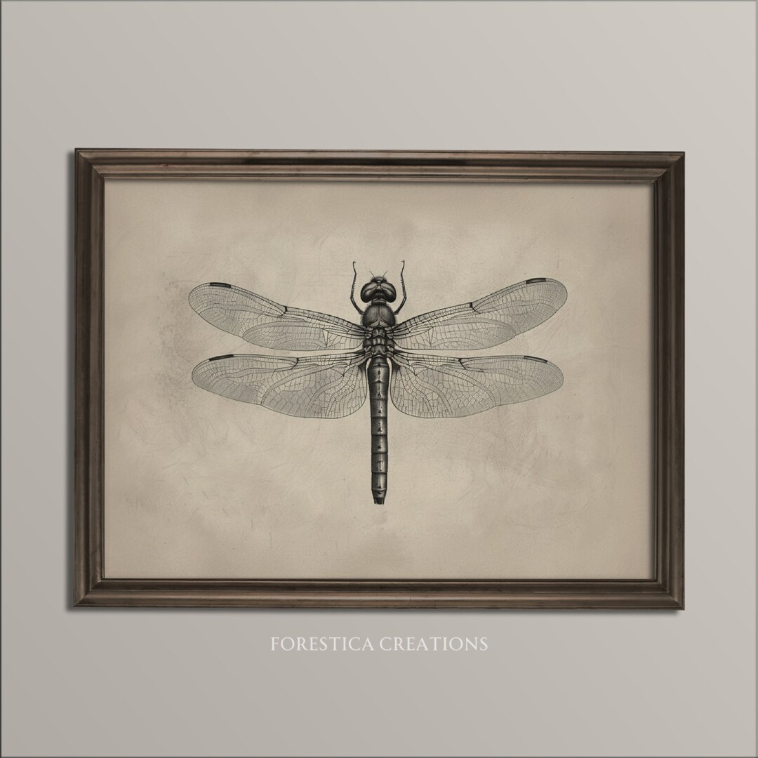 Botanical Dragonfly | Cottagecore Wall Art, Vintage Gothic Illustration ...