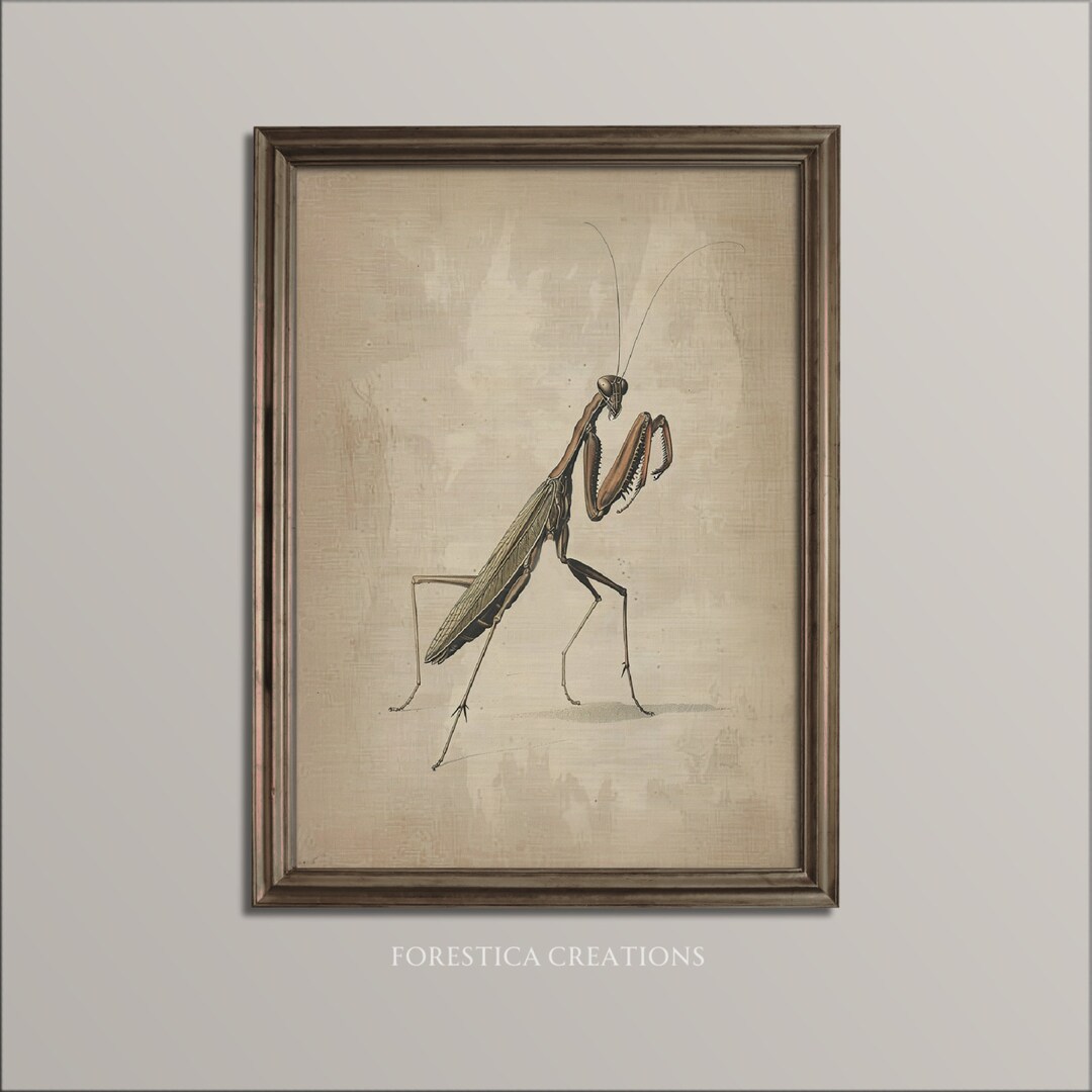 Praying Mantis | Moody Insect Printable, Dark Cottagecore Wall Art ...