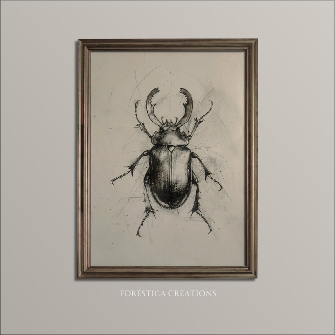 Beetle Sketch | Moody Insect Printable, Dark Cottagecore Wall Art, Dark ...