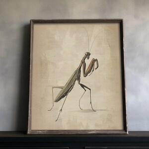 Praying Mantis | Moody Insect Printable, Dark Cottagecore Wall Art ...
