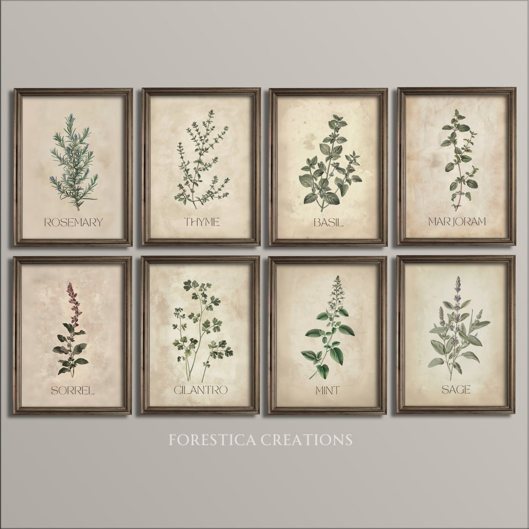 Set of 8 Herb Prints Kitchen Gallery Wall Set, Vintage Botanical ...