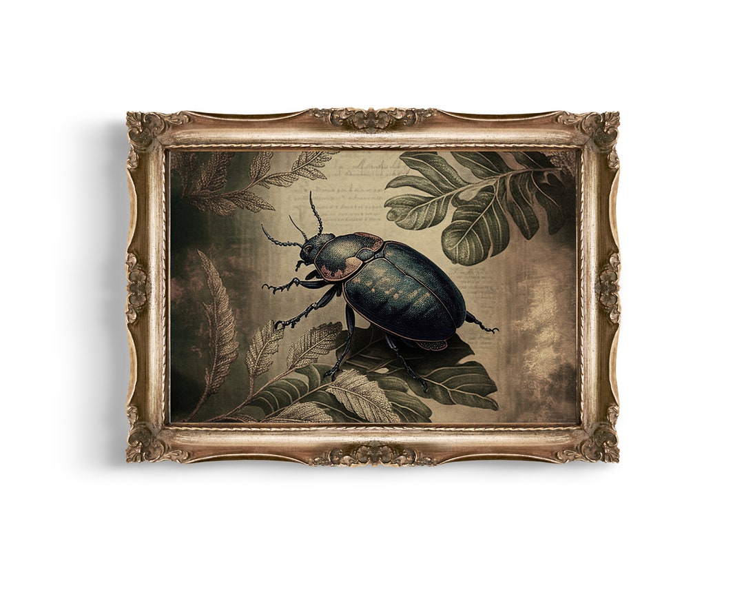 Botanical Bug | Cottagecore Decor, Goblincore Wall Art, Moody Botanical ...