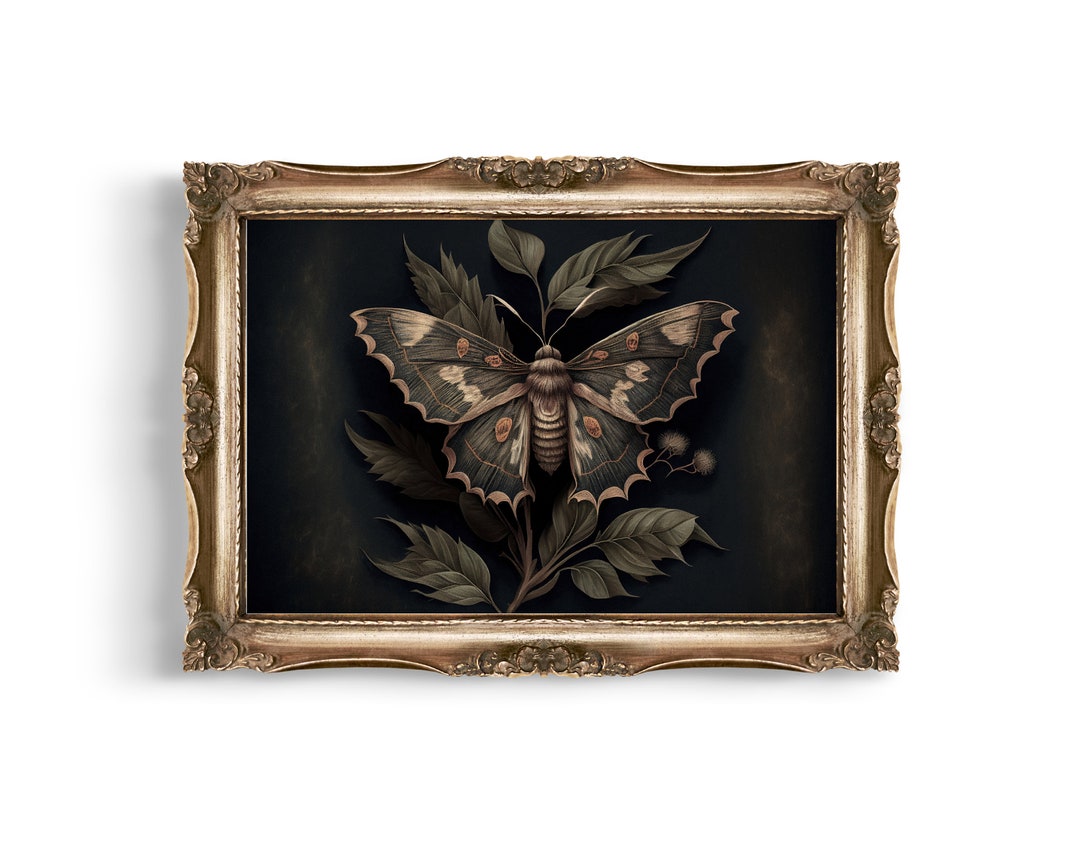 Moth | Dark Cottagecore Wall Art, Moody Botanical Printable, Goblincore ...