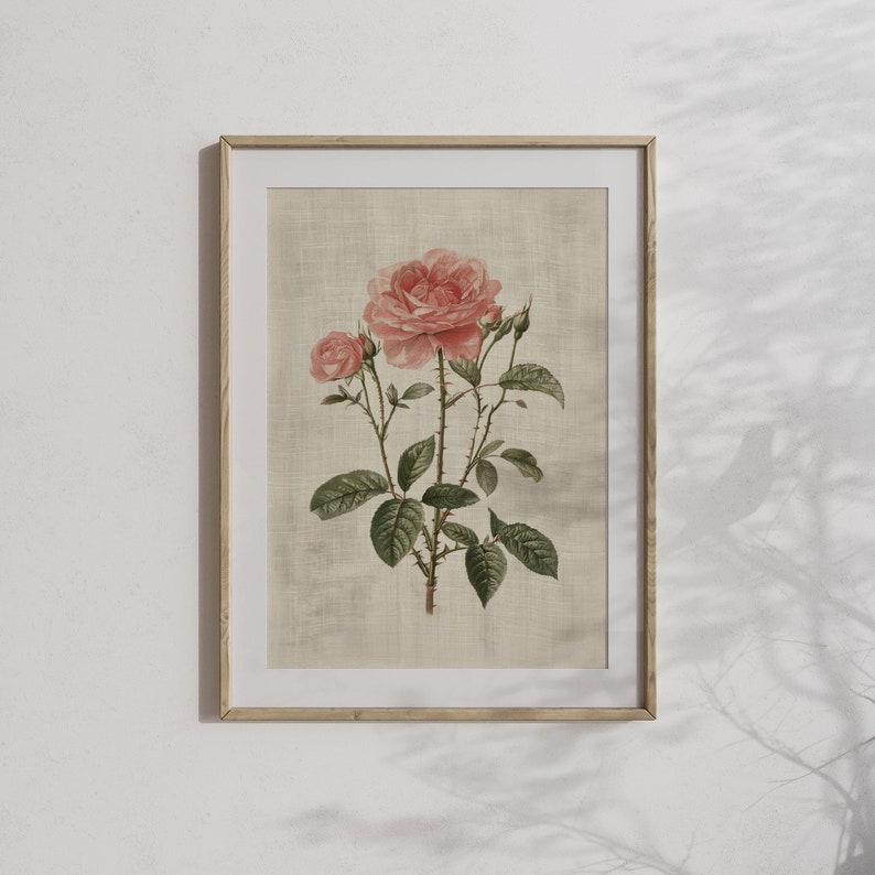 Pink Rose | Cottagecore Wall Art, Minimalist Nature Poster, Floral Home ...
