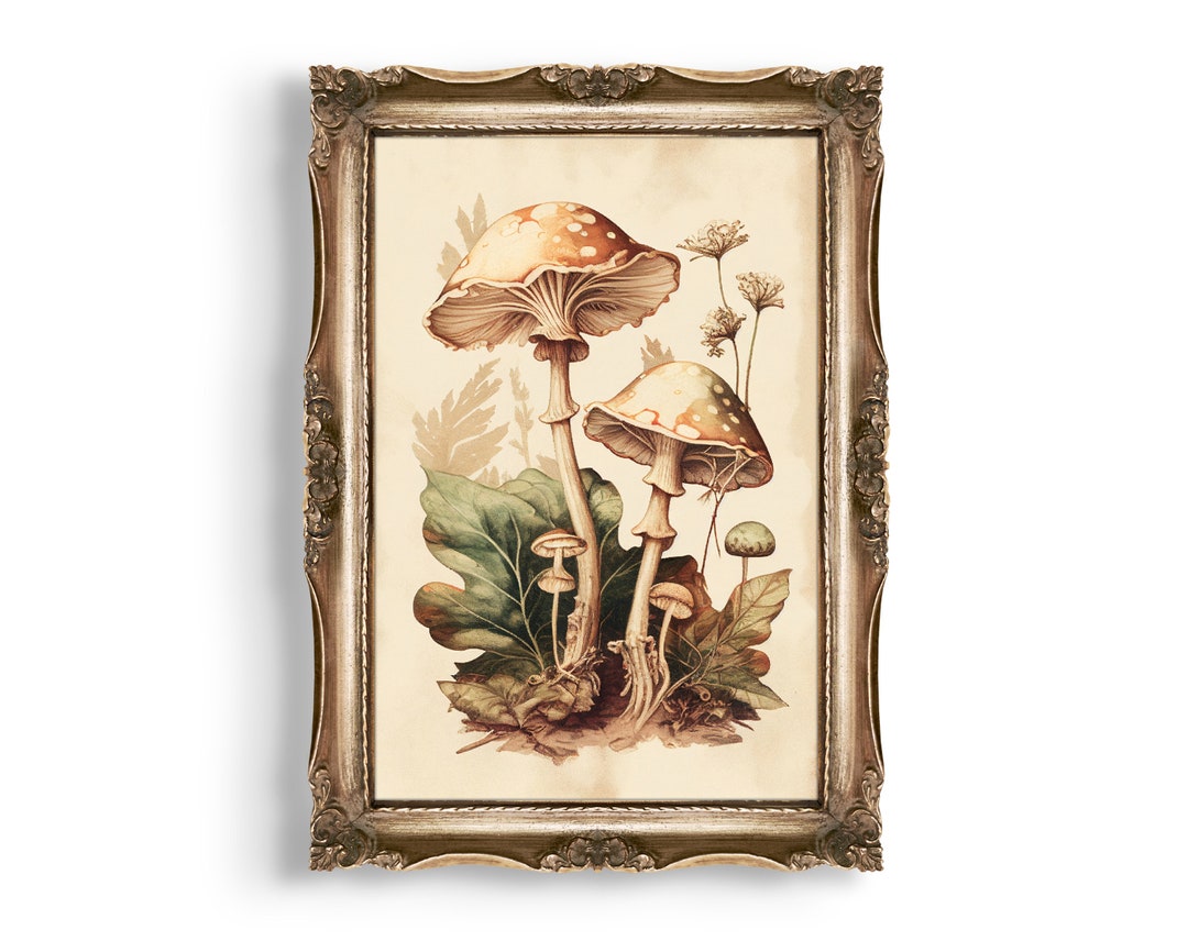 Toadstool Mushrooms | Boho Cottagecore Print, Mushroom Decor ...