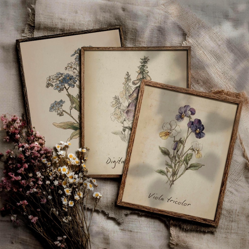 Vintage Botanical Prints Set | Wildflower Gallery Wall (digital ...