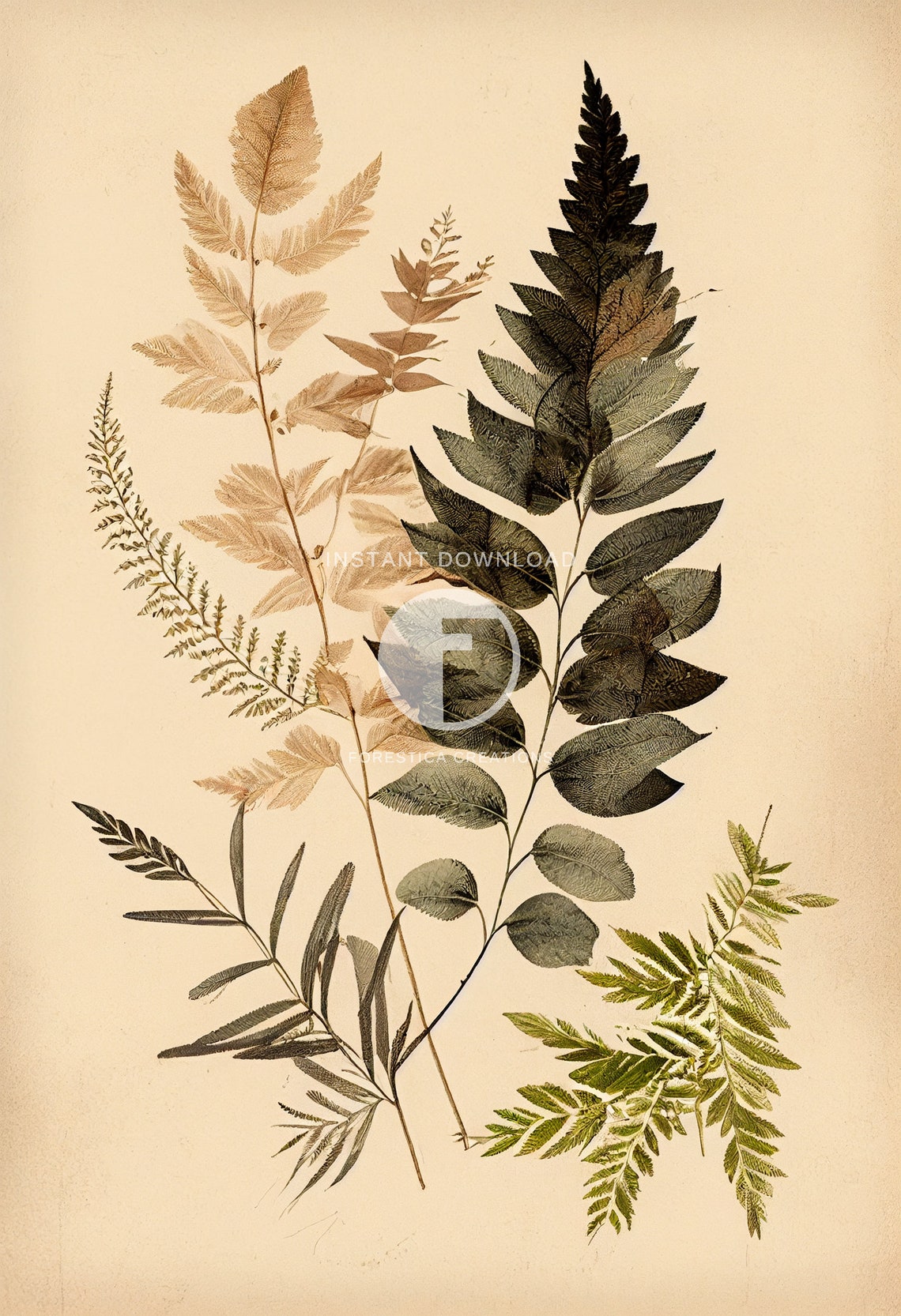 Leaves Boho Cottagecore Prints Botanical Room Decor Moody - Etsy