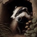 Badger Witchy Room Decor, Cottagecore Prints, Animal Wall Art ...