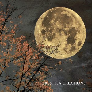 Autumn Night | Halloween Printable, Dark Academia Decor, Witchy Art ...