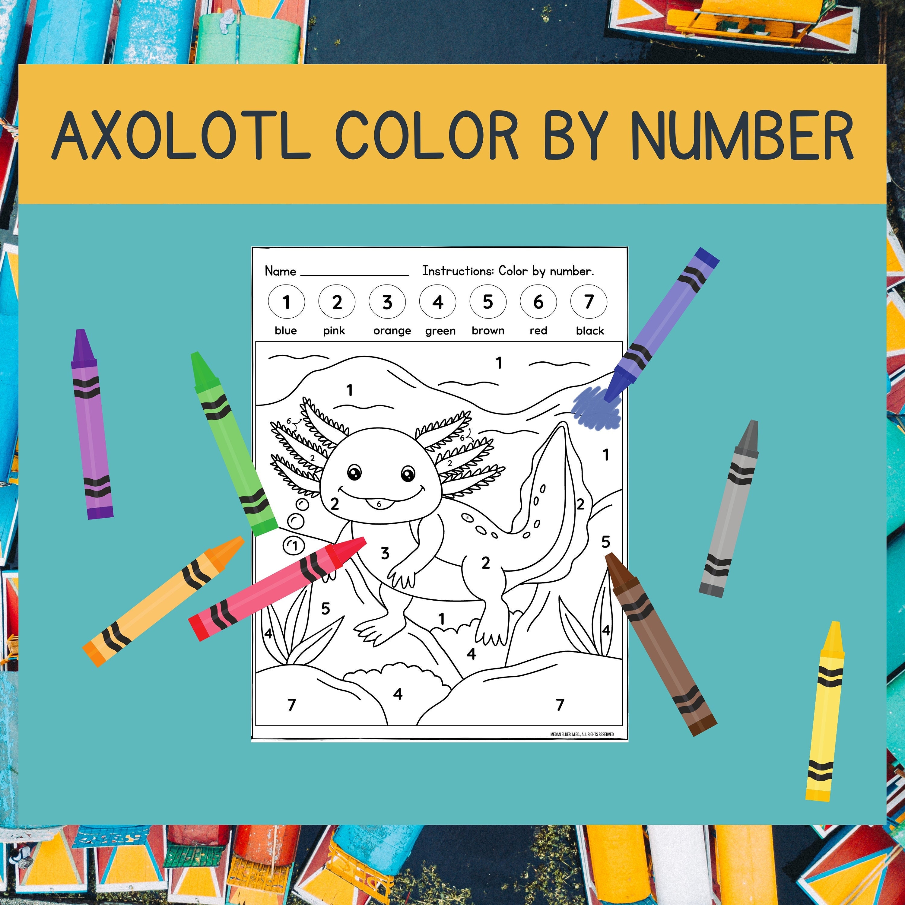 Axolotl Color by Number - Etsy