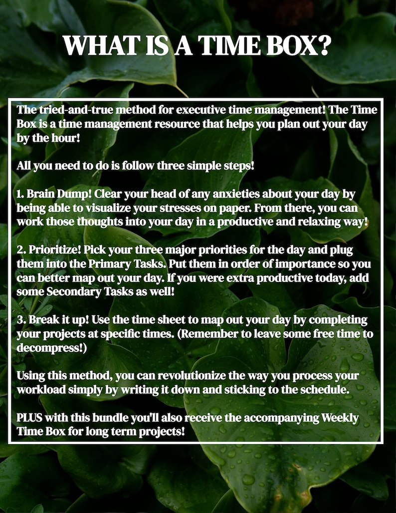 TIMEBOX Printable Planner | Hourly Planner | Time Box Planner ...