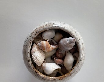 Mussel Shells: 30 2-3 Shells , Beach Craft Supply, Coastal Decor, Bowls ...