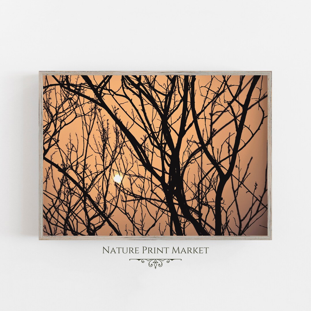 Autumn Tree Silhouette Landscape Photography Print Scenic Nature Wall ...