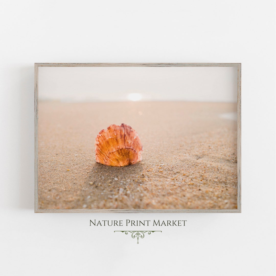 Sea Shell Sunrise Landscape Photography Print Scenic Nature Wall Art ...