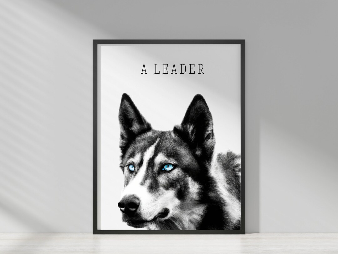Black and White Animal Poster, Wild Wolf Animal Poster, Living Room ...