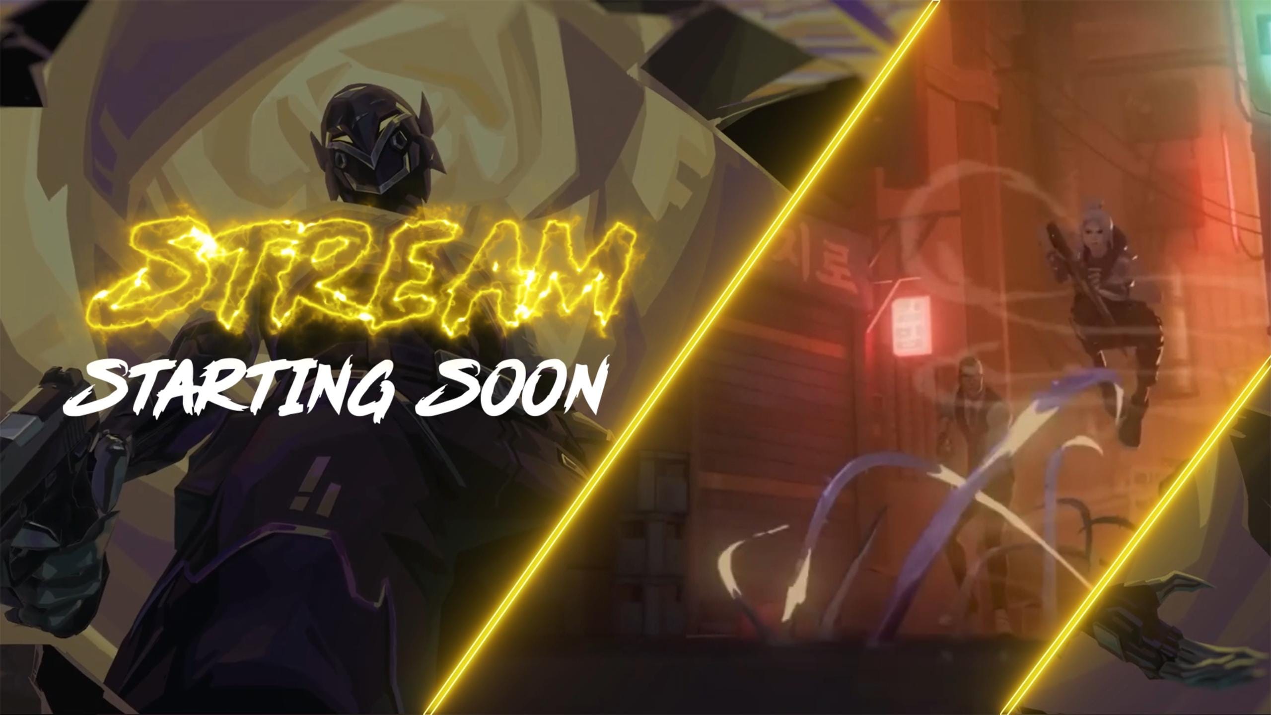 Valorant Stream Pack - Vyse Animated Twitch Overlays | Vyse Ingame HUD ...