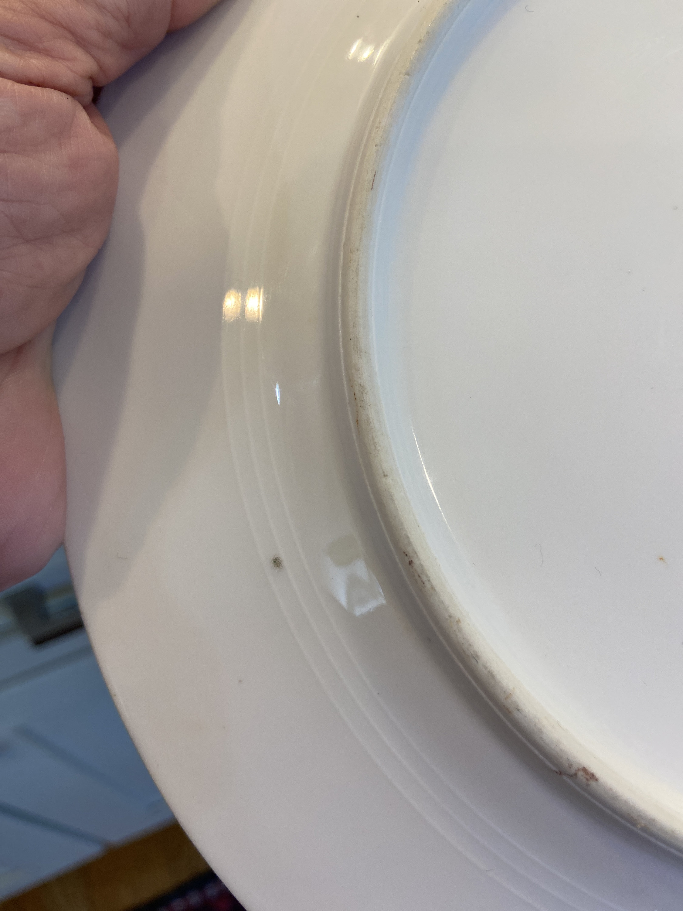 Rare Limoges Theodore Haviland Plate - Etsy