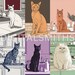 Cats on Counters | Downloadable Wall Prints | Cat Wall Art - Etsy