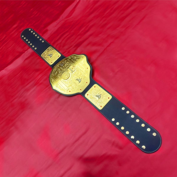 Wwe World Heavyweight Championship Name Plate - Etsy Canada