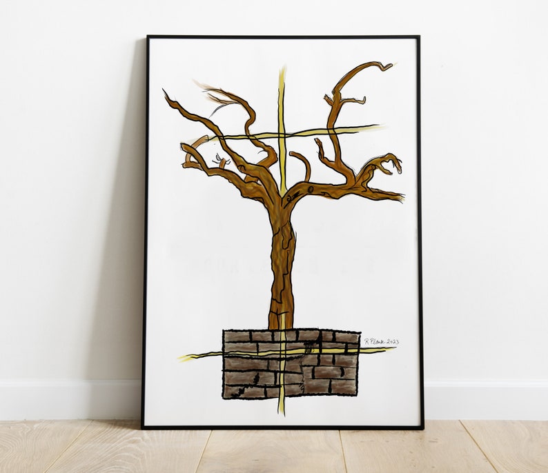 Leafless Japanese Maple Tree 38 - Etsy