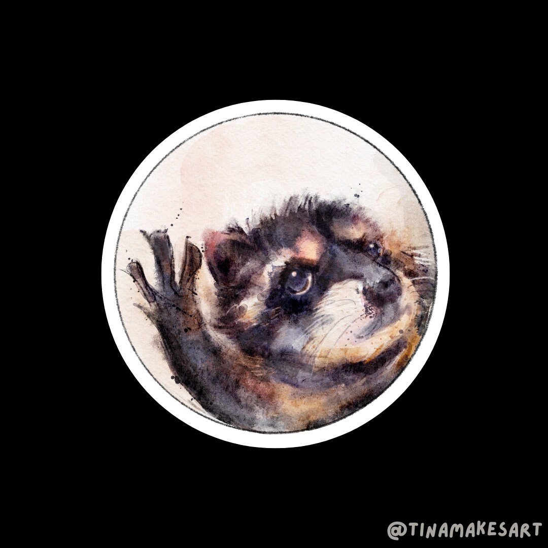 Pedro Pedro Pedro Sticker Raccoon Sticker Matte Vinyl Sticker Hand ...