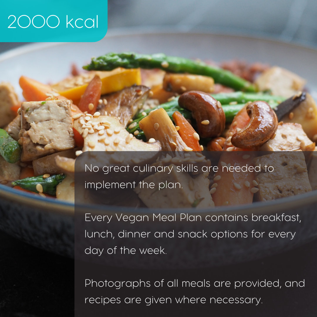 Vegan Meal Plan 2000 Kcal 80 G Protein - Etsy