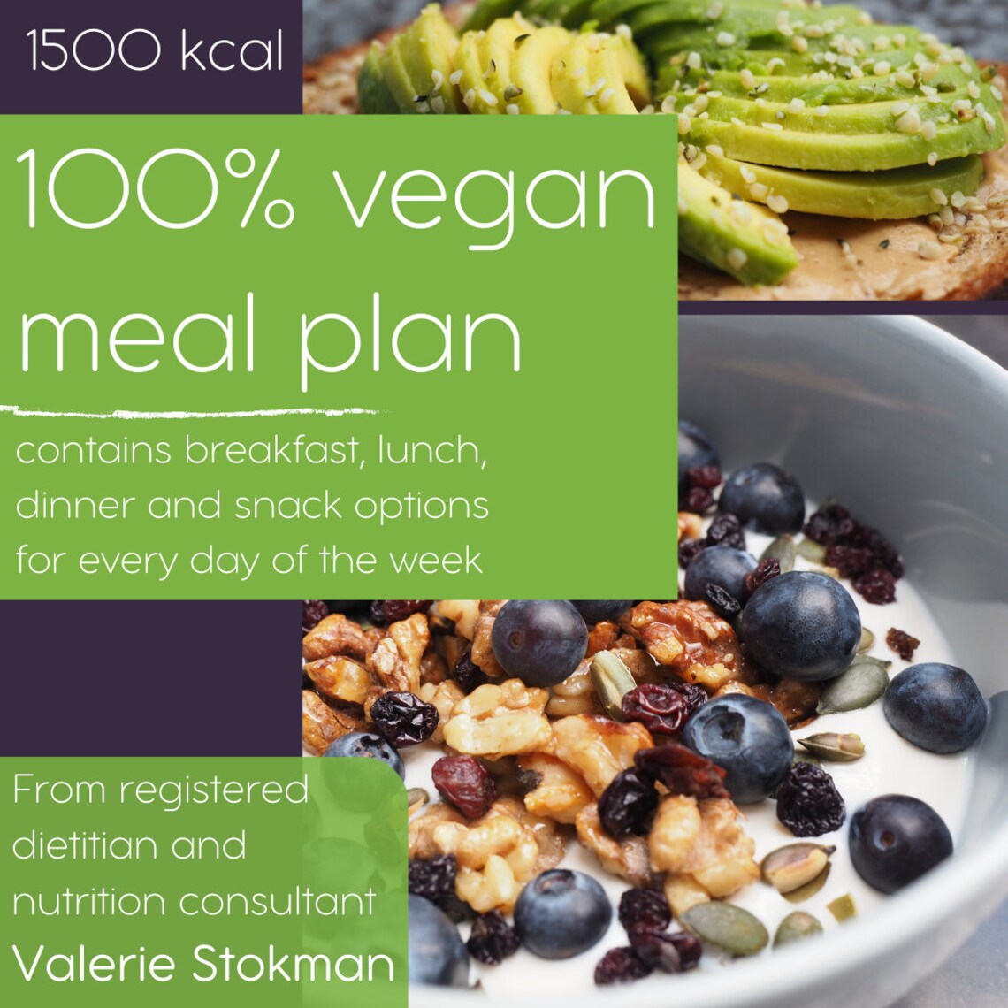 Vegan Meal Plan 1500 Kcal 65 G Protein - Etsy