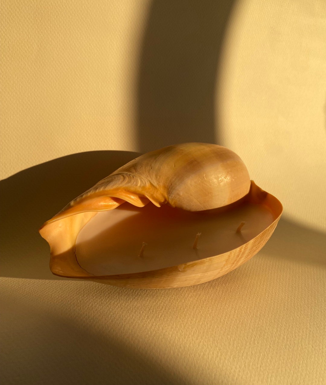 Giant Snail Shell Candle Original Snail Shell 100% Soy Wax Handpoured ...