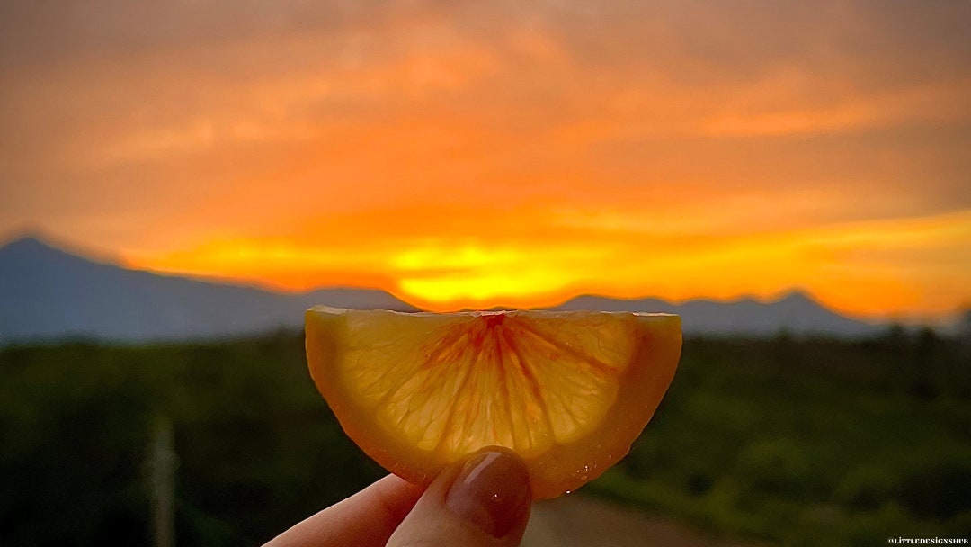 Lemon Sunset Desktop Wallpaper - Etsy