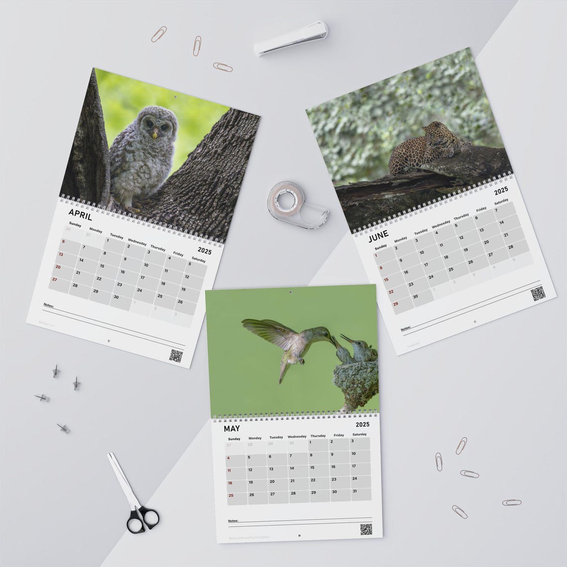 2025 Wall Calendar With High Resolution Images of Birds and Mammals in ...