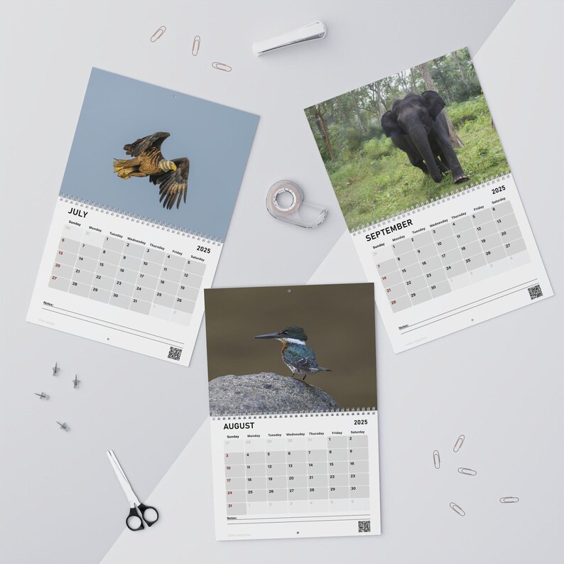 2025 Wall Calendar With High Resolution Images of Birds and Mammals in ...