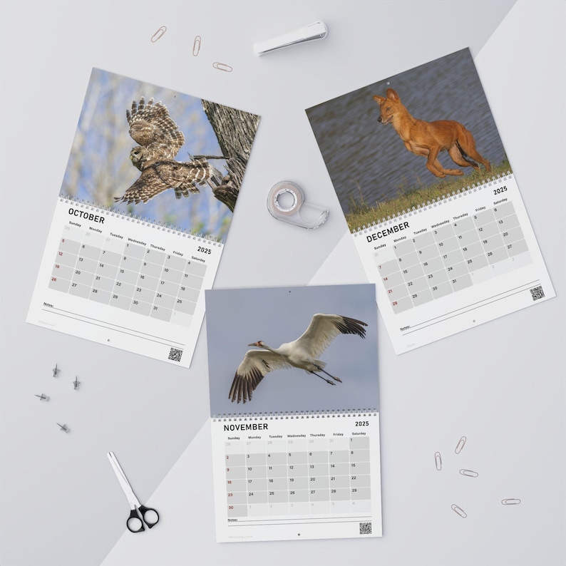 2025 Wall Calendar With High Resolution Images of Birds and Mammals in ...