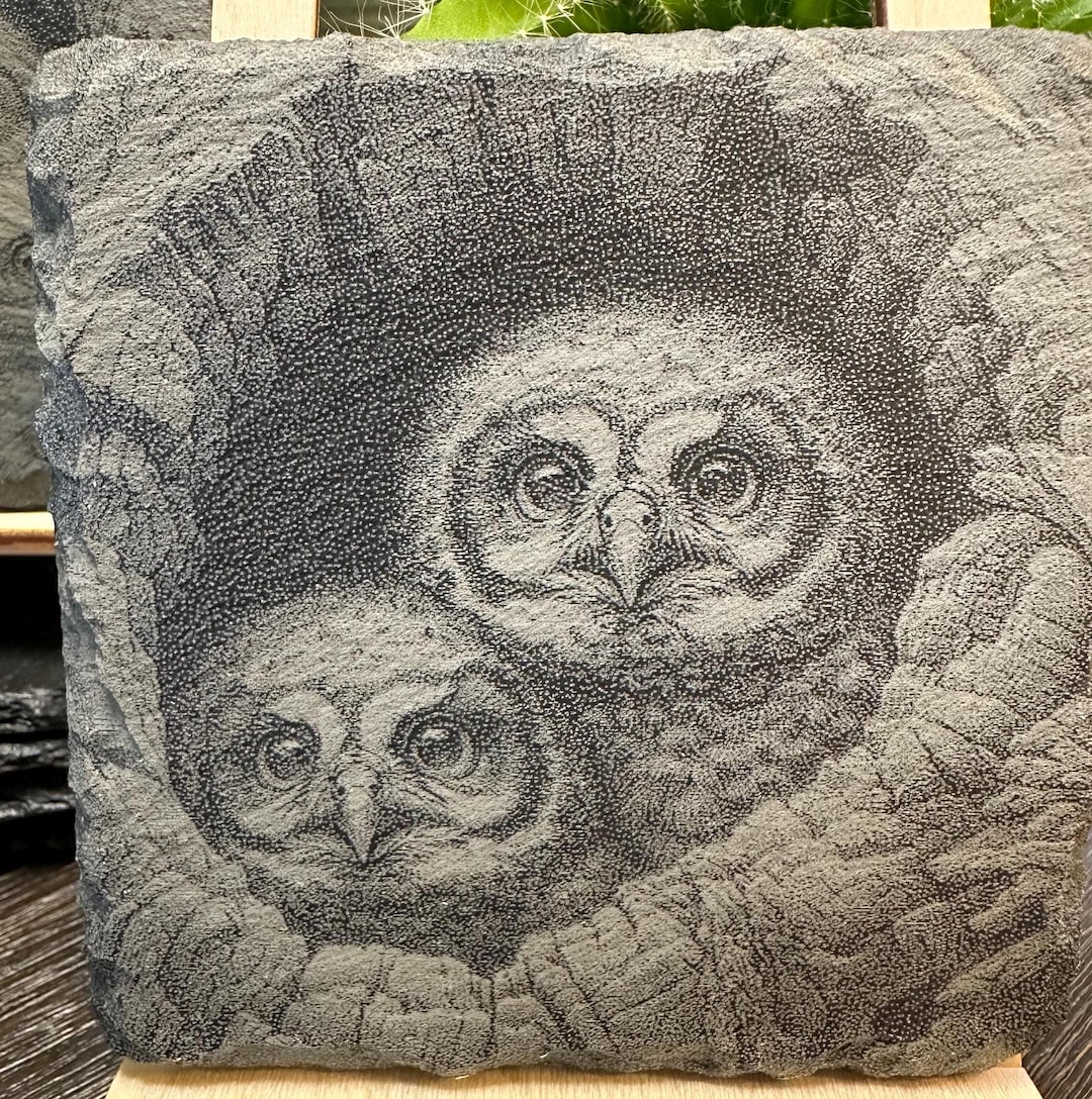 Slate Laser Engraved Coasters, Owls - Etsy