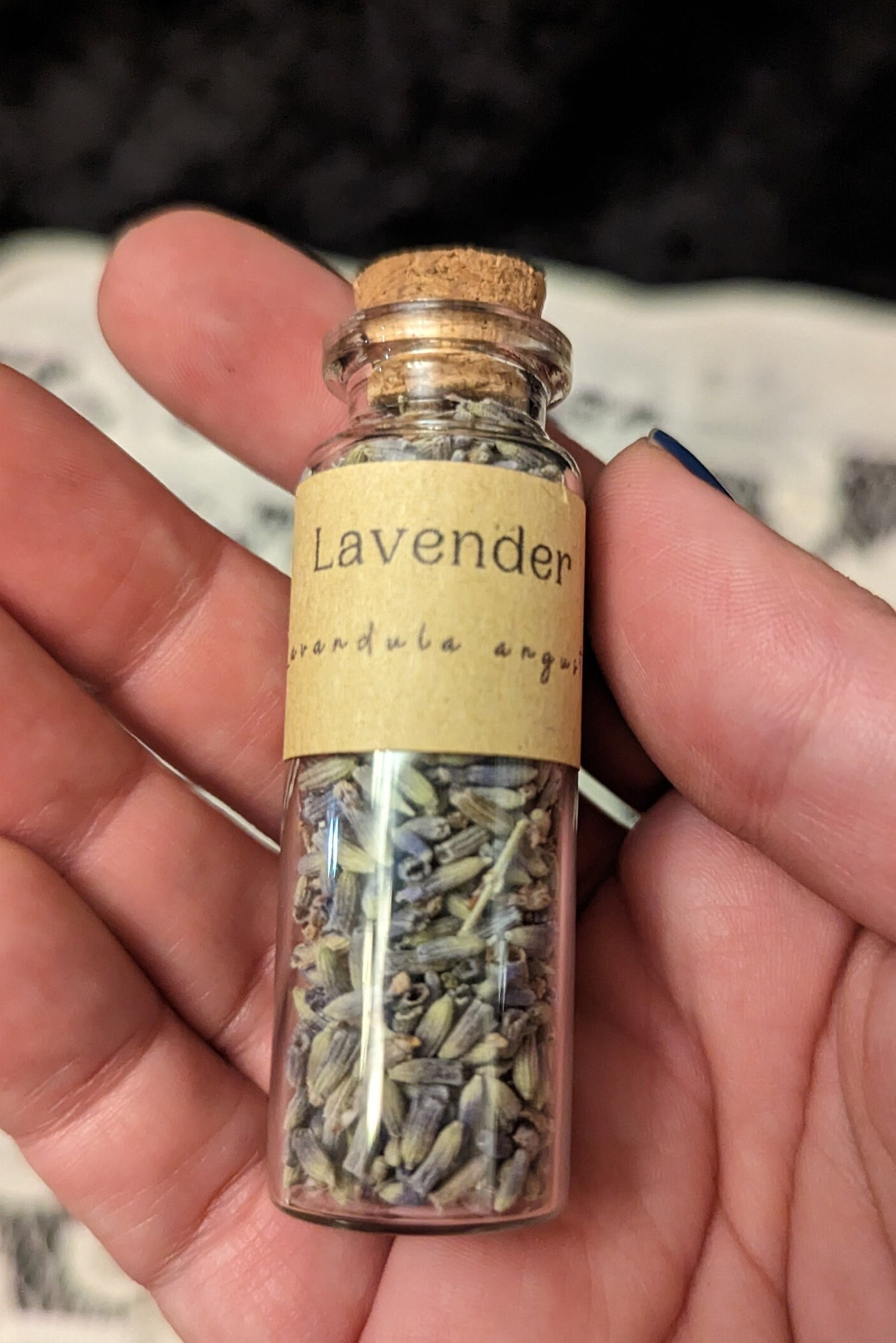 Deluxe Protection Spell Ingredients Set - Etsy