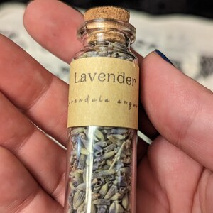 Deluxe Protection Spell Ingredients Set - Etsy