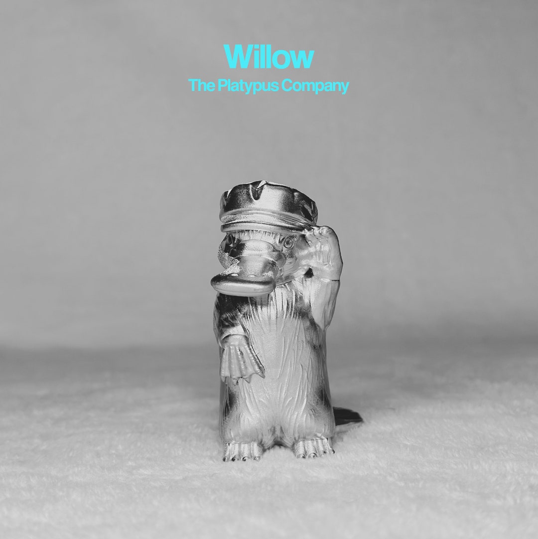 WILLOW aka Taylor Swift/platypus - Etsy