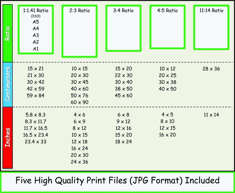 Cute Bunny Print, Black & White, Printable Wall Art, Digital Download ...