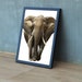 Elephant Print, Colour, Printable Wall Art, Digital Download Art ...