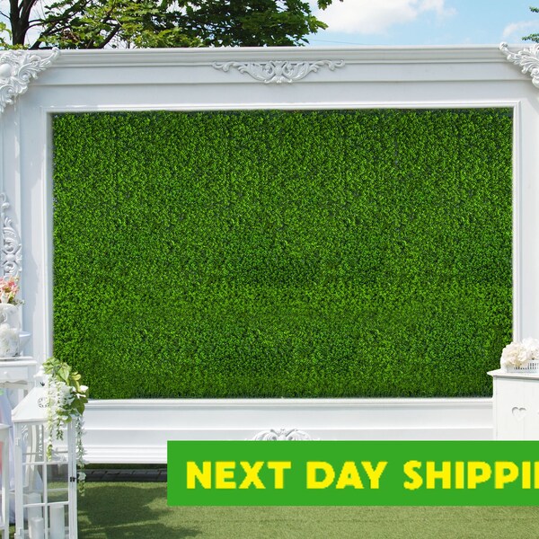 Boxwood Backdrop - Etsy