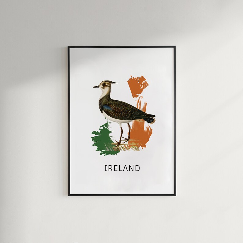 Lapwing Ireland - Birds of the World Minimalist Poster - Etsy