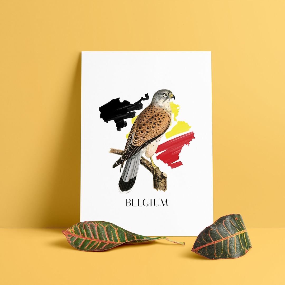 Printable Common Kestrel Belgium - Birds of the World Minimalist Poster ...