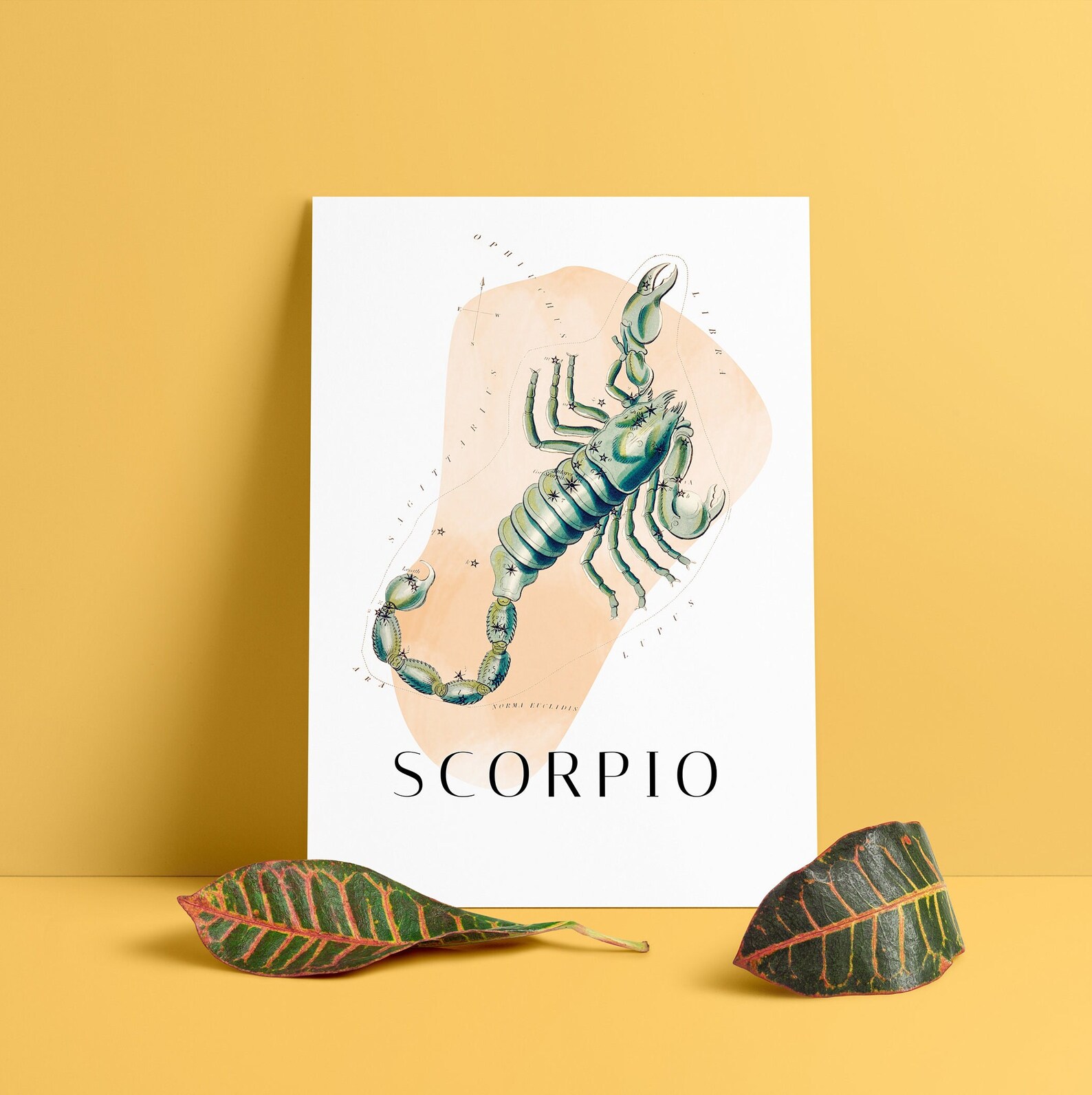 Printable Zodiac Scorpio Minimalist Poster - Etsy