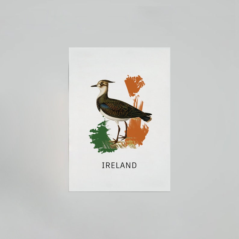 Lapwing Ireland Birds of the World Minimalist Poster - Etsy