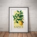 Printable Naples Lemon Fruits of the World Minimalist Poster - Etsy