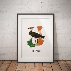 Lapwing Ireland - Birds of the World Minimalist Poster - Etsy