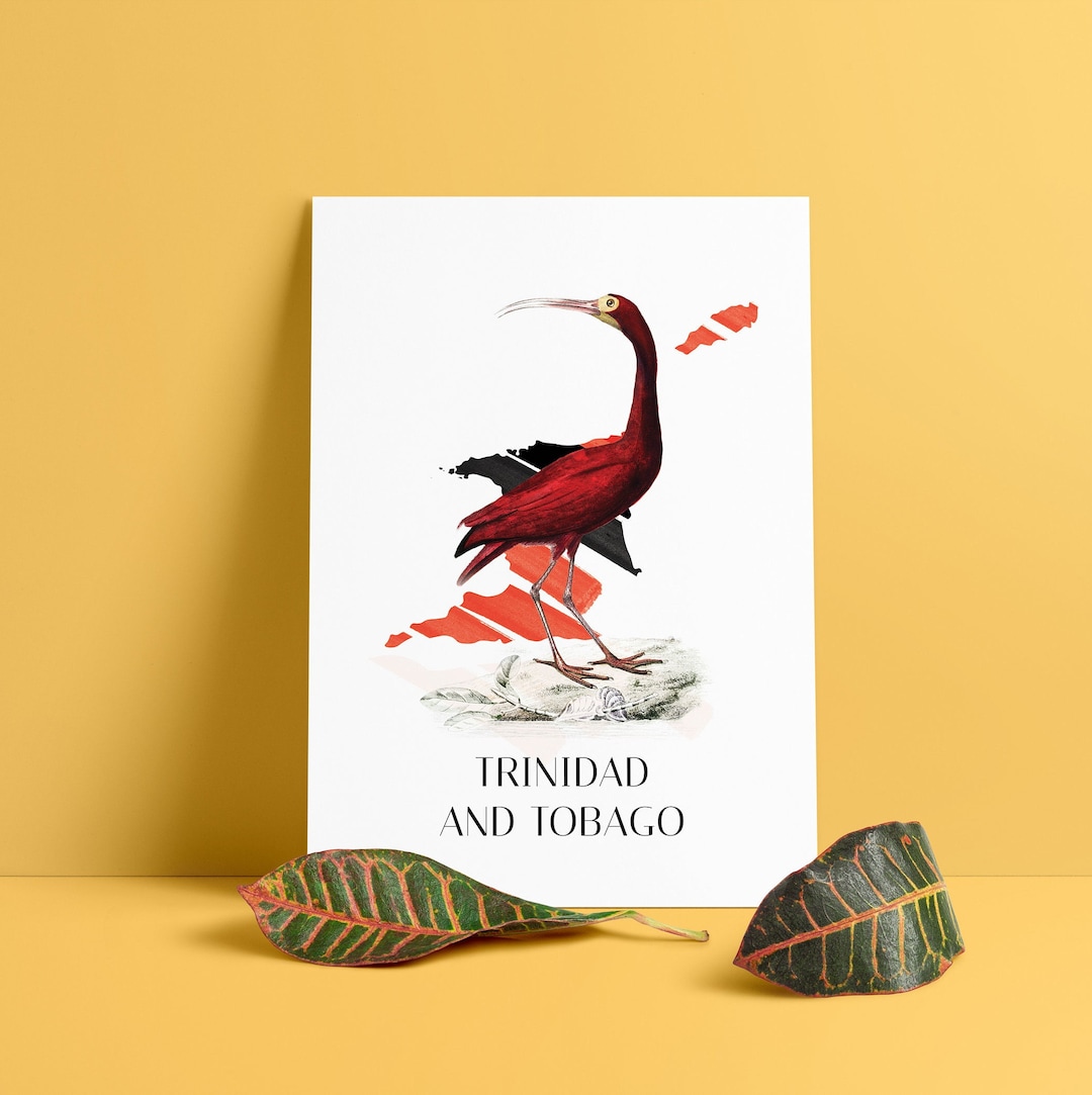 Scarlet Ibis Trinidad and Tobago - Birds of the World Minimalist Poster ...