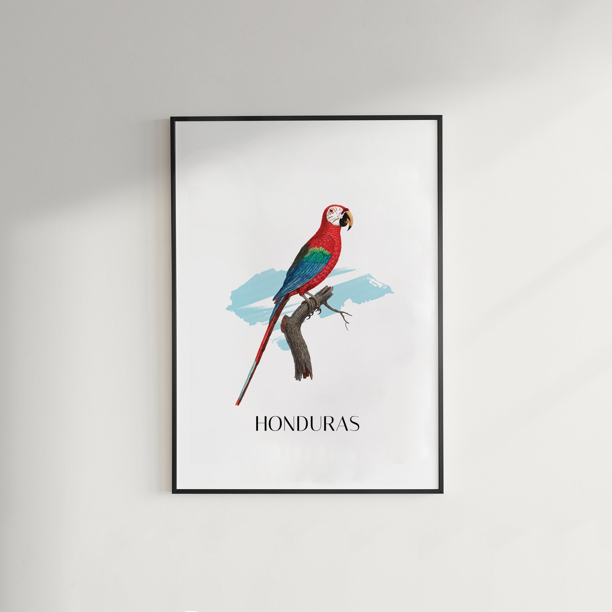 Scarlet Macaw Honduras - Birds of the World Minimalist Poster - Etsy
